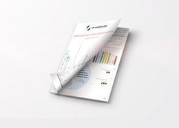 LPI Capital | Financial Reports